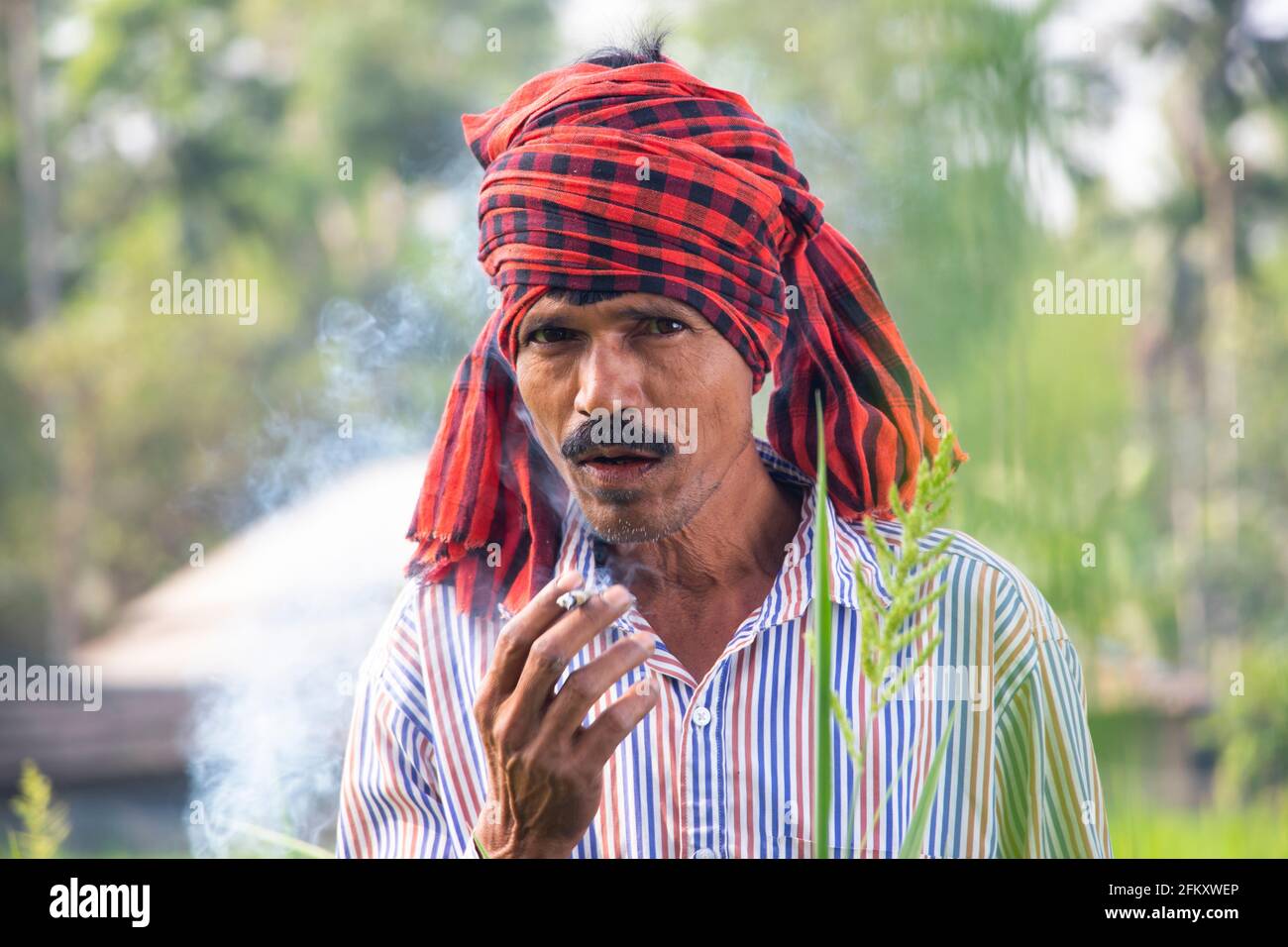 Indian Rural farmer smoking In Rice Field Stock Photo - Alamy