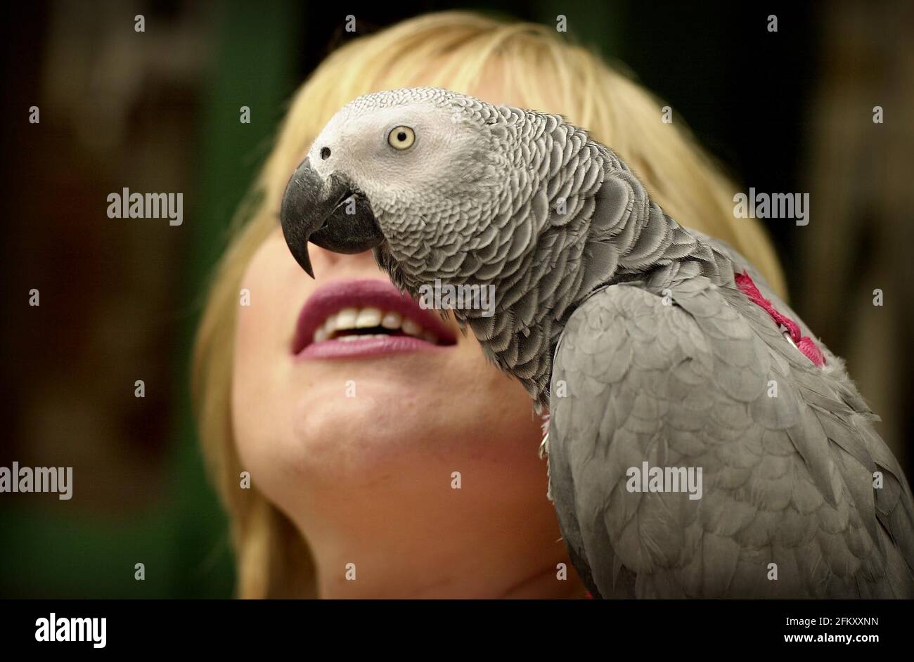 Tv presenter wendy turner hi-res stock photography and images - Alamy