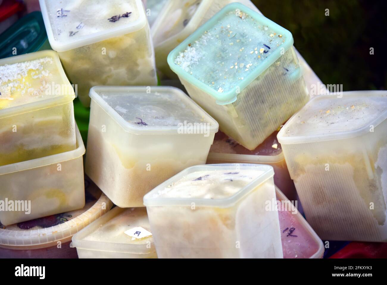 Stacks of frozen vegetables are cleaned out of freezer in preparation ...
