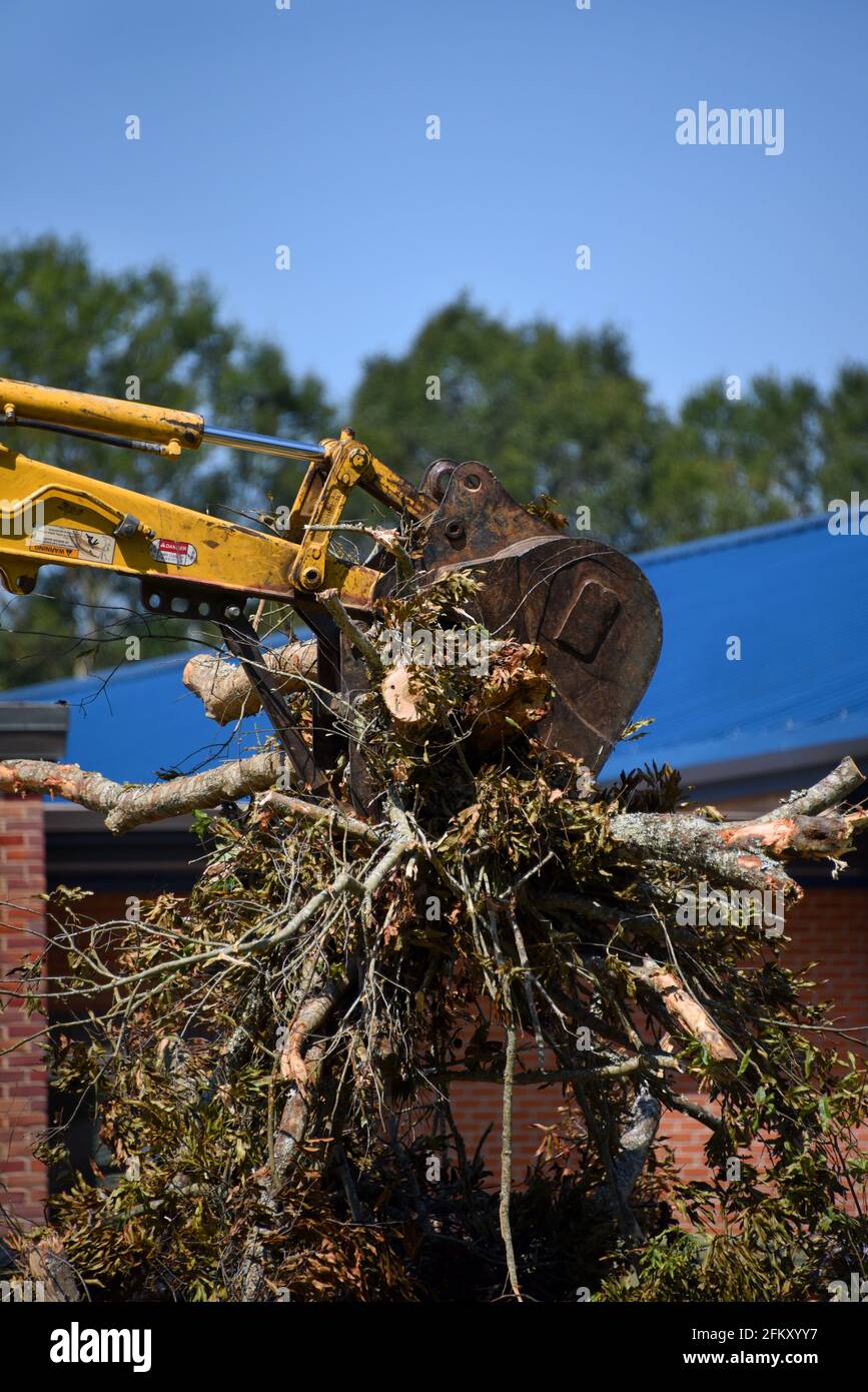 Storm damage downed trees at this school. Yellow excavator with claws ...