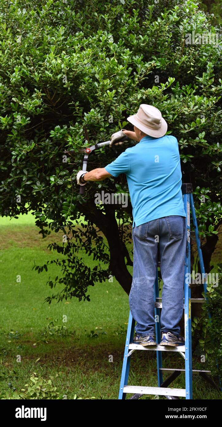 Standing besides the tree hi-res stock photography and images - Alamy