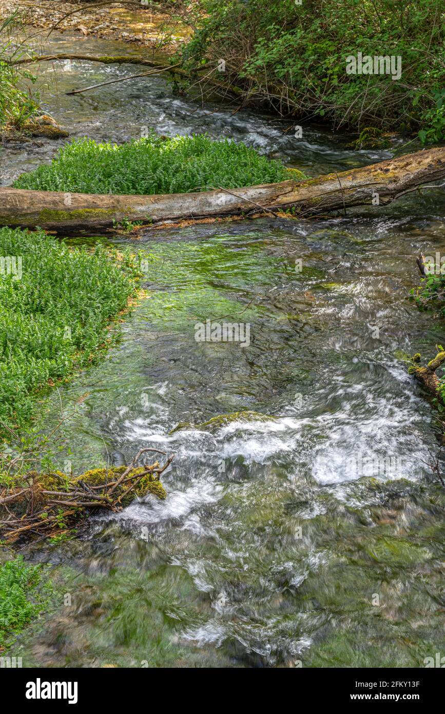 Small river flows hi-res stock photography and images - Alamy