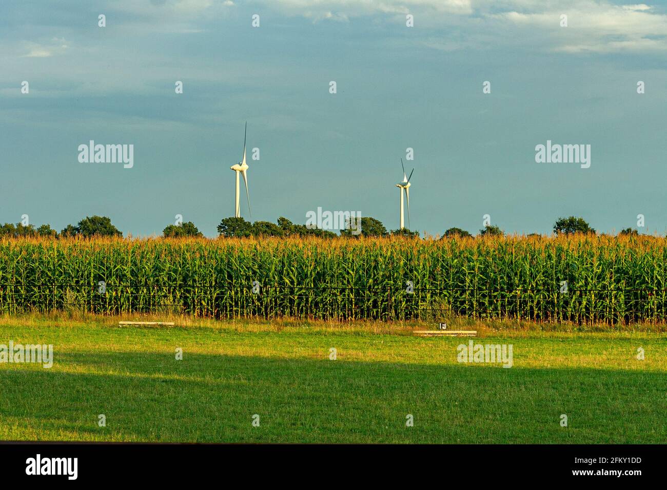 Corn agricultural farming environment hi-res stock photography and ...