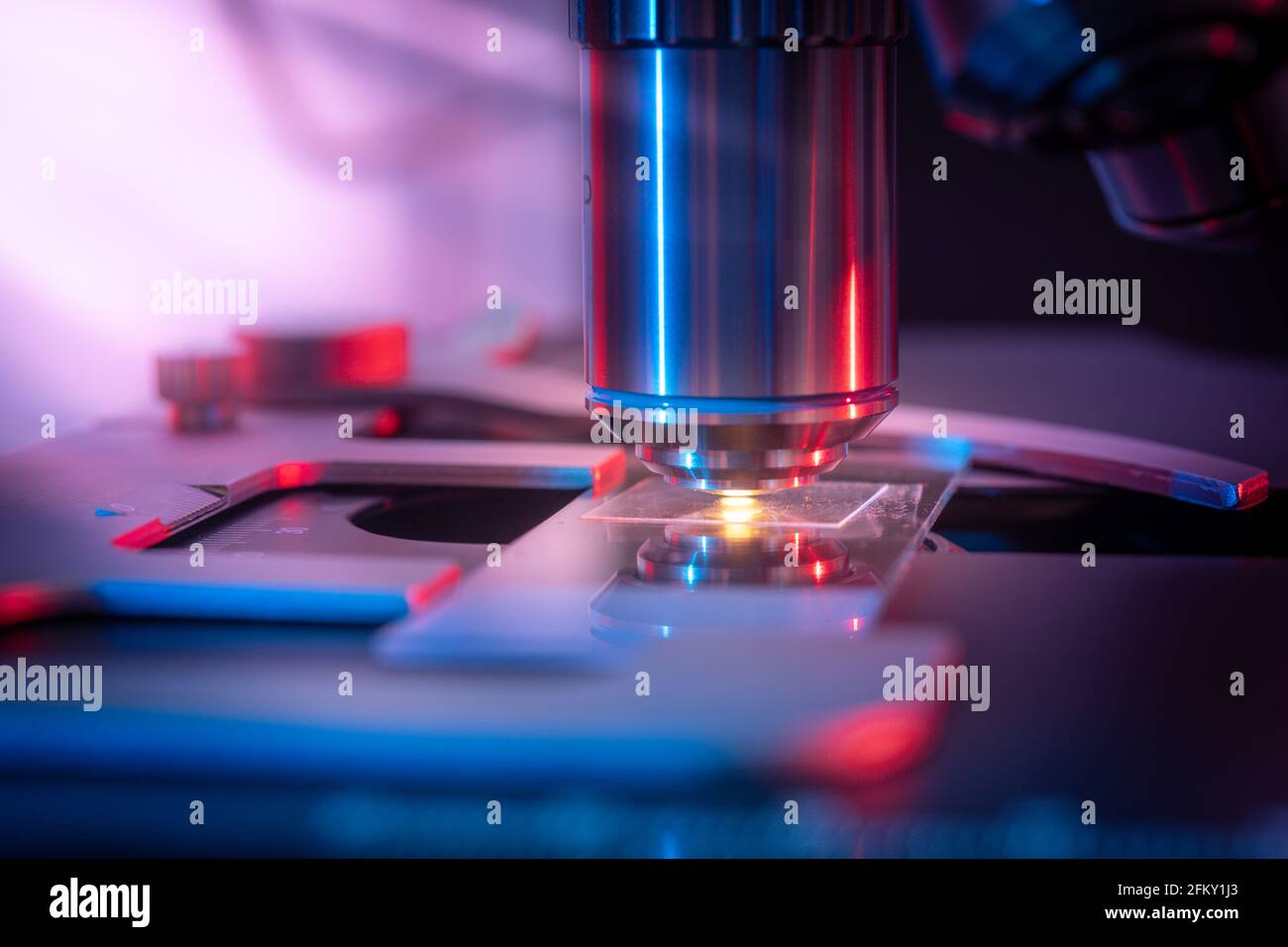 Stereo binocular microscope hi-res stock photography and images - Alamy