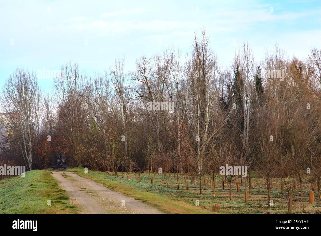 Scenic view muddy path hi-res stock photography and images - Alamy