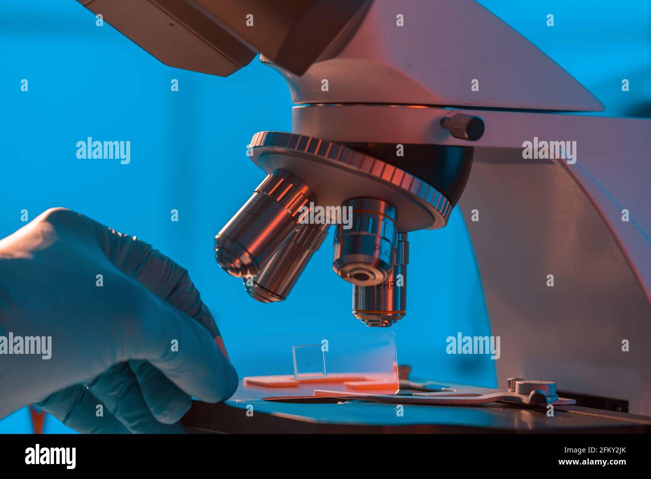 Glass slide with a tissue in hand and a scientific microscope ...