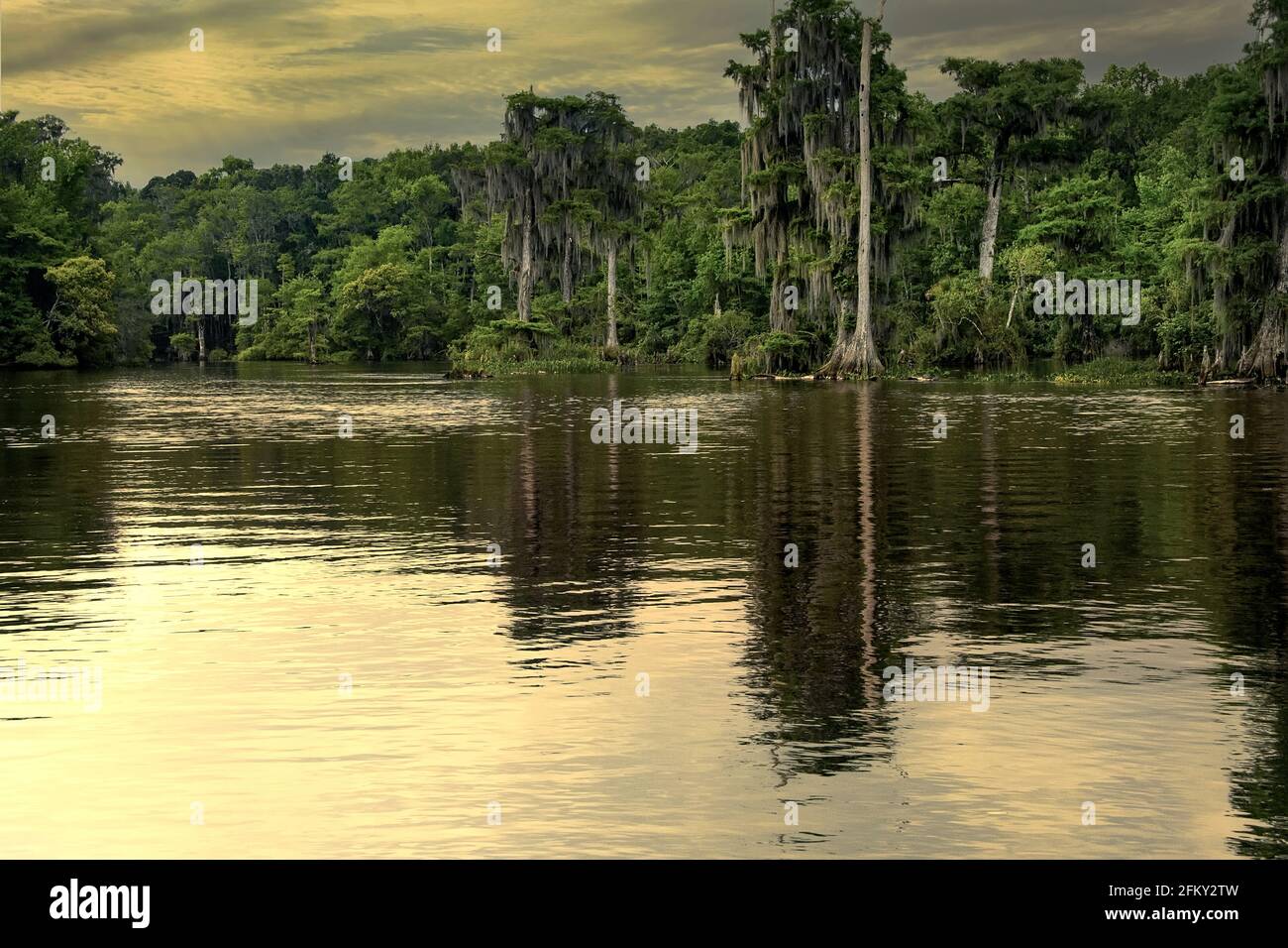 Wakulla spring hi-res stock photography and images - Alamy