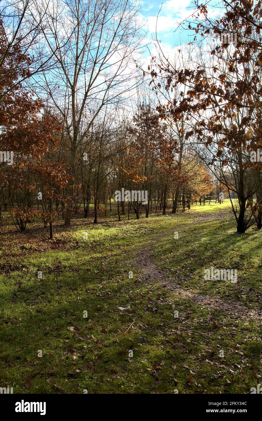 Lit pathway hi-res stock photography and images - Alamy