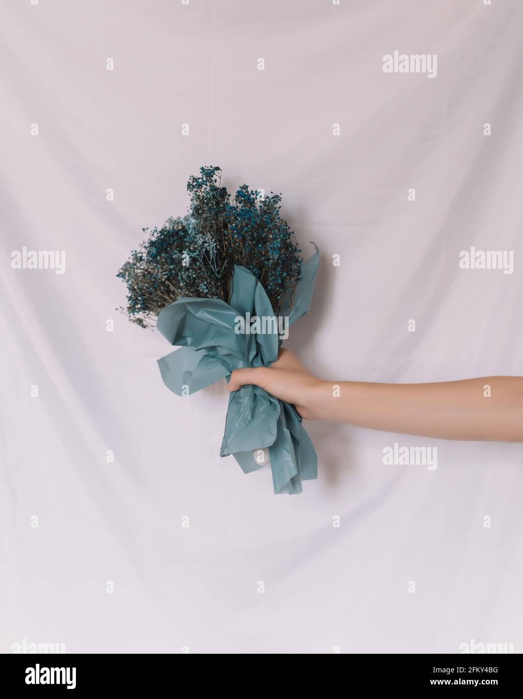Hand holding dry wild blue flower bouquet Stock Photo - Alamy