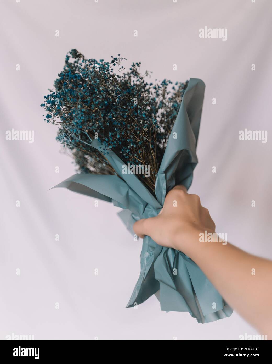 Hand holding dry wild blue flower bouquet Stock Photo - Alamy