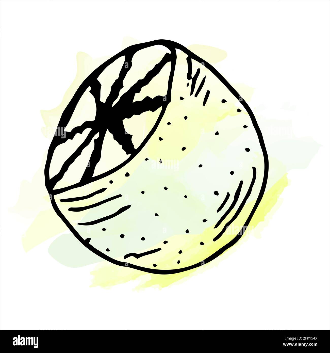 Vector watercolor hand drawn sour lemon with watercolor drops. Organic ...