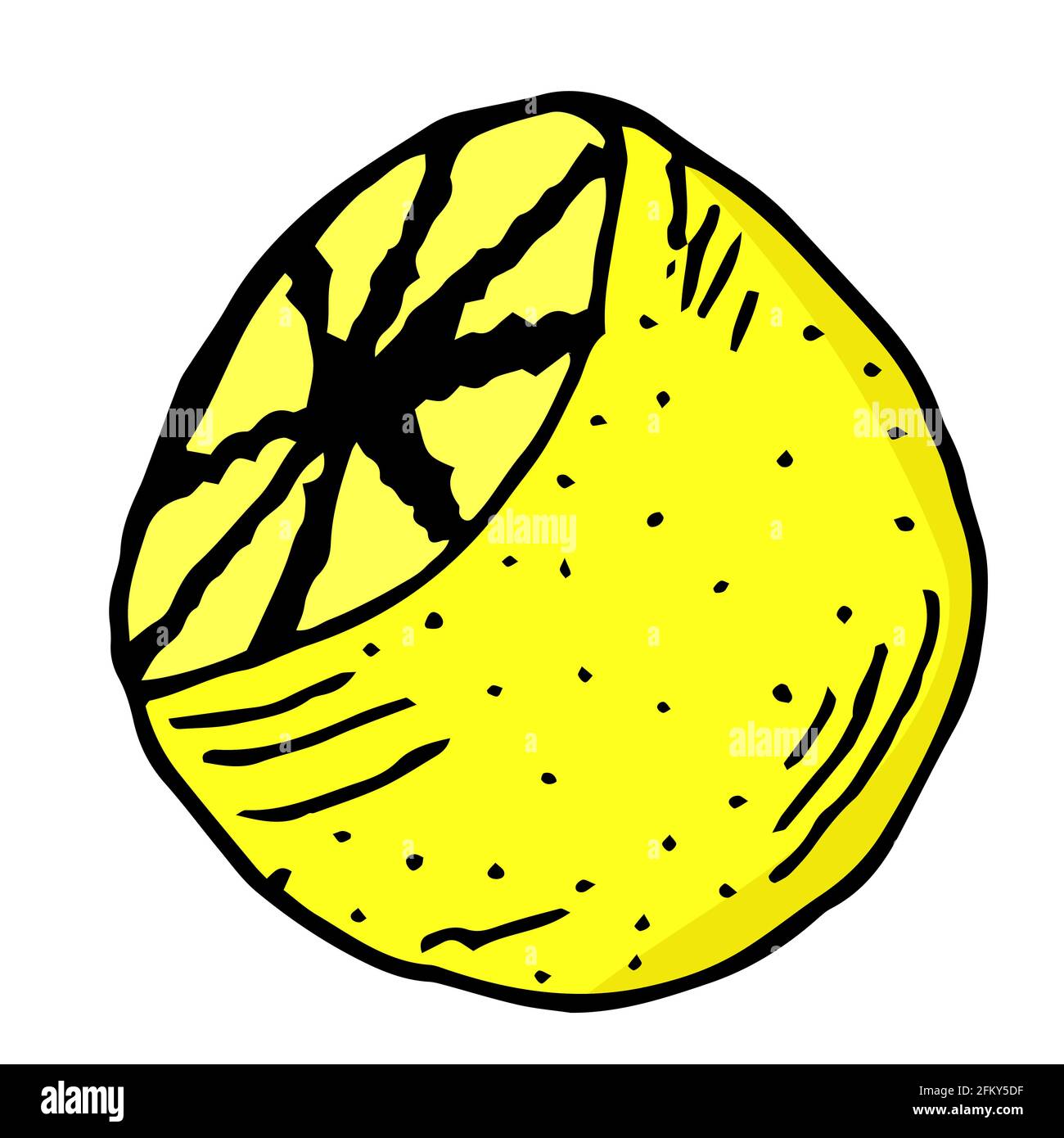 Vector watercolor hand drawn sour lemon with watercolor drops. Organic ...