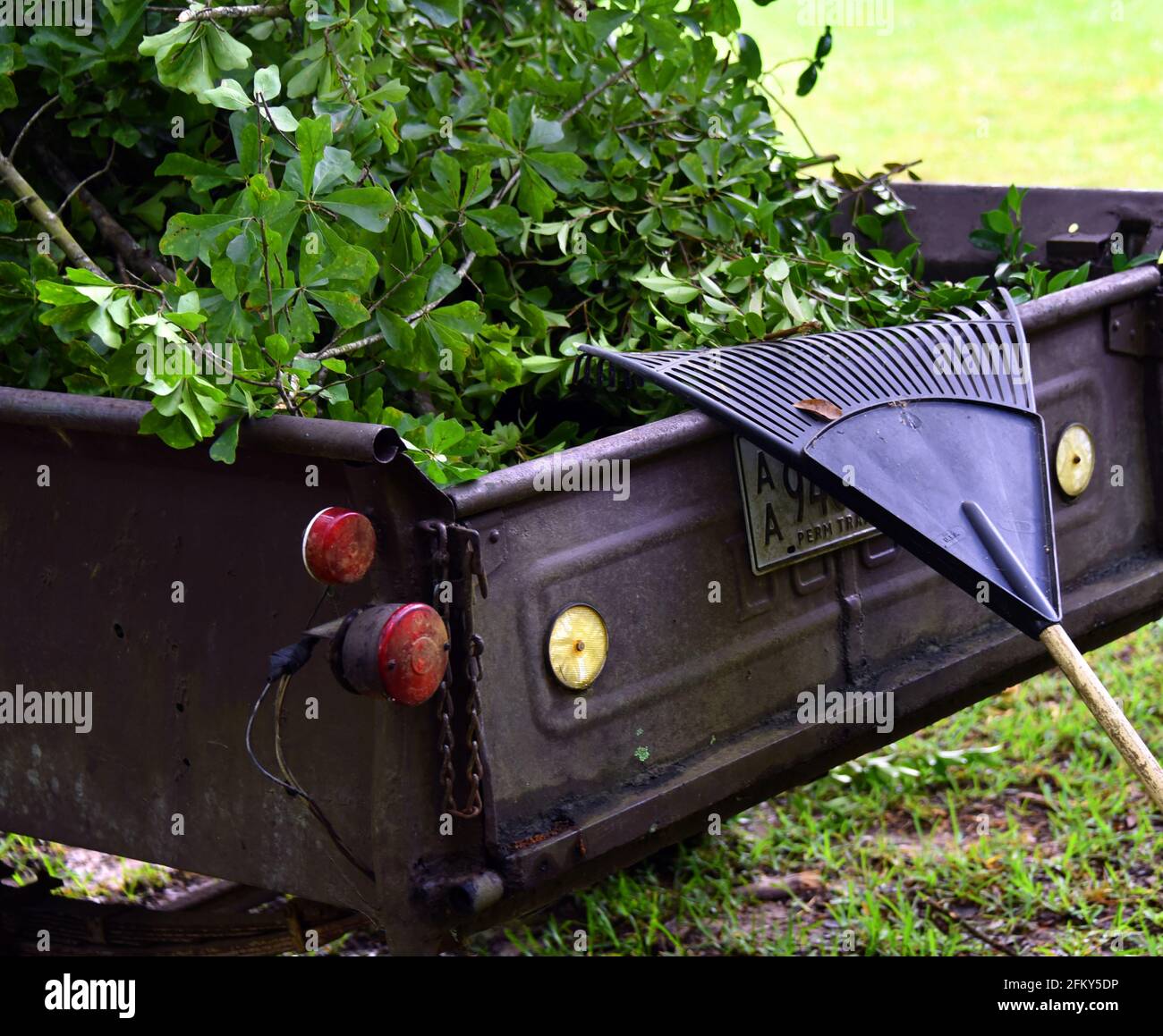 Old, handmade, trailer is filled with cut limbs. Rake hangs on rim of ...
