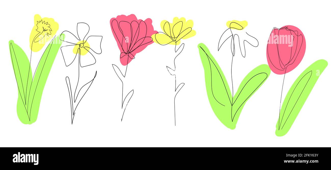 set of beautiful spring flowers isolated on white background, one ...