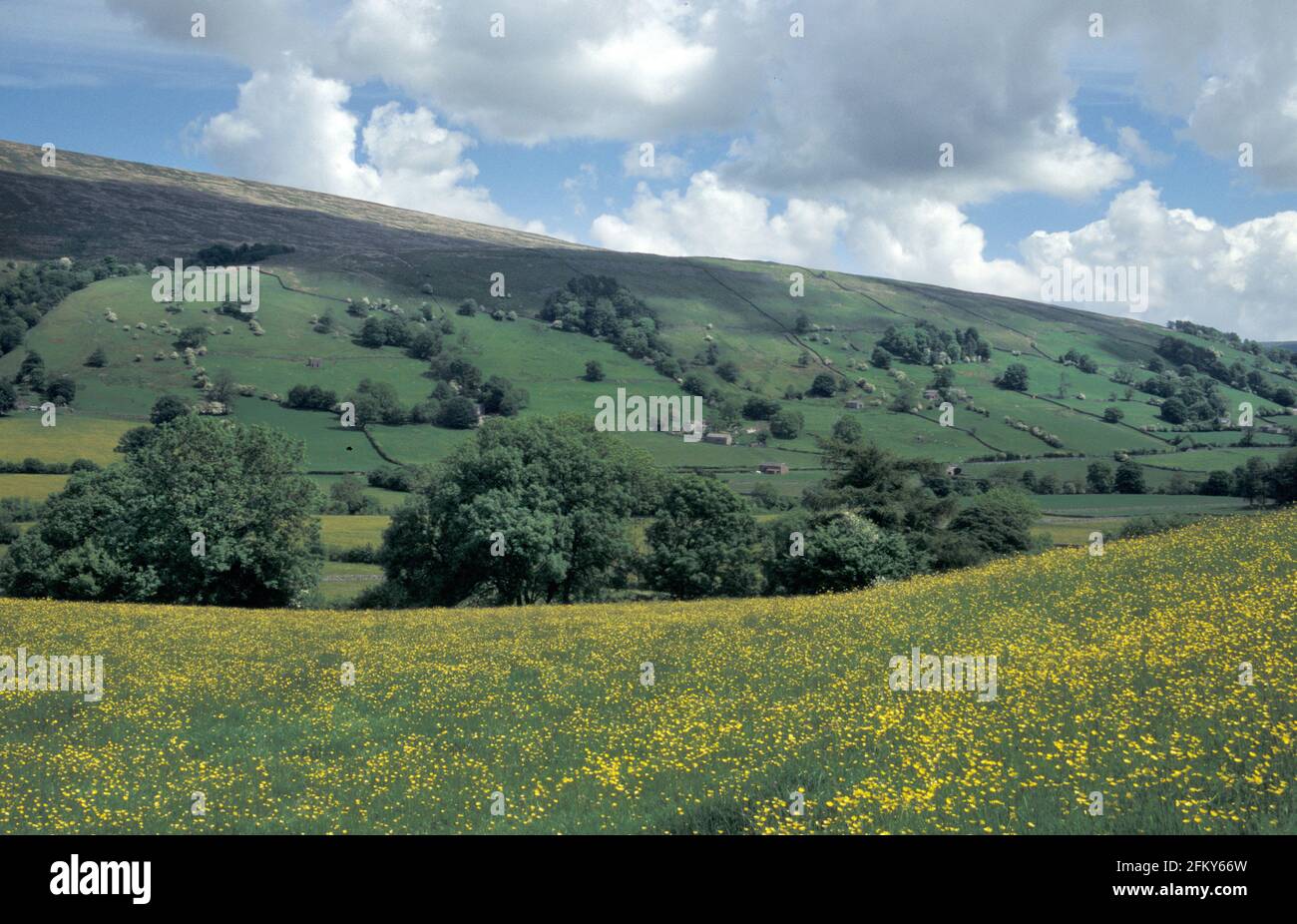 A summertime landscape in Dentdale, Yorkshire Dales National Park ...