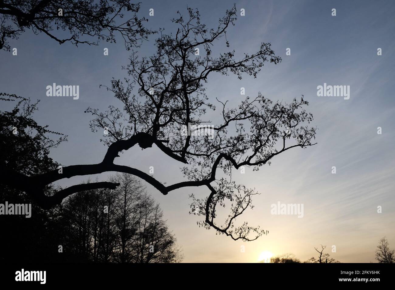 Bordesley hi-res stock photography and images - Alamy