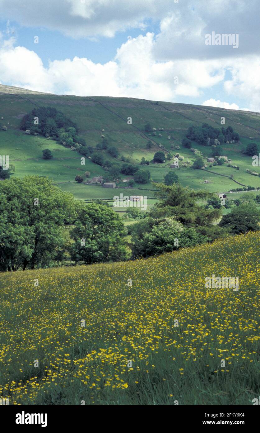 Dentdale, Yorkshire Dales National Park, Cumbria, England Stock Photo ...