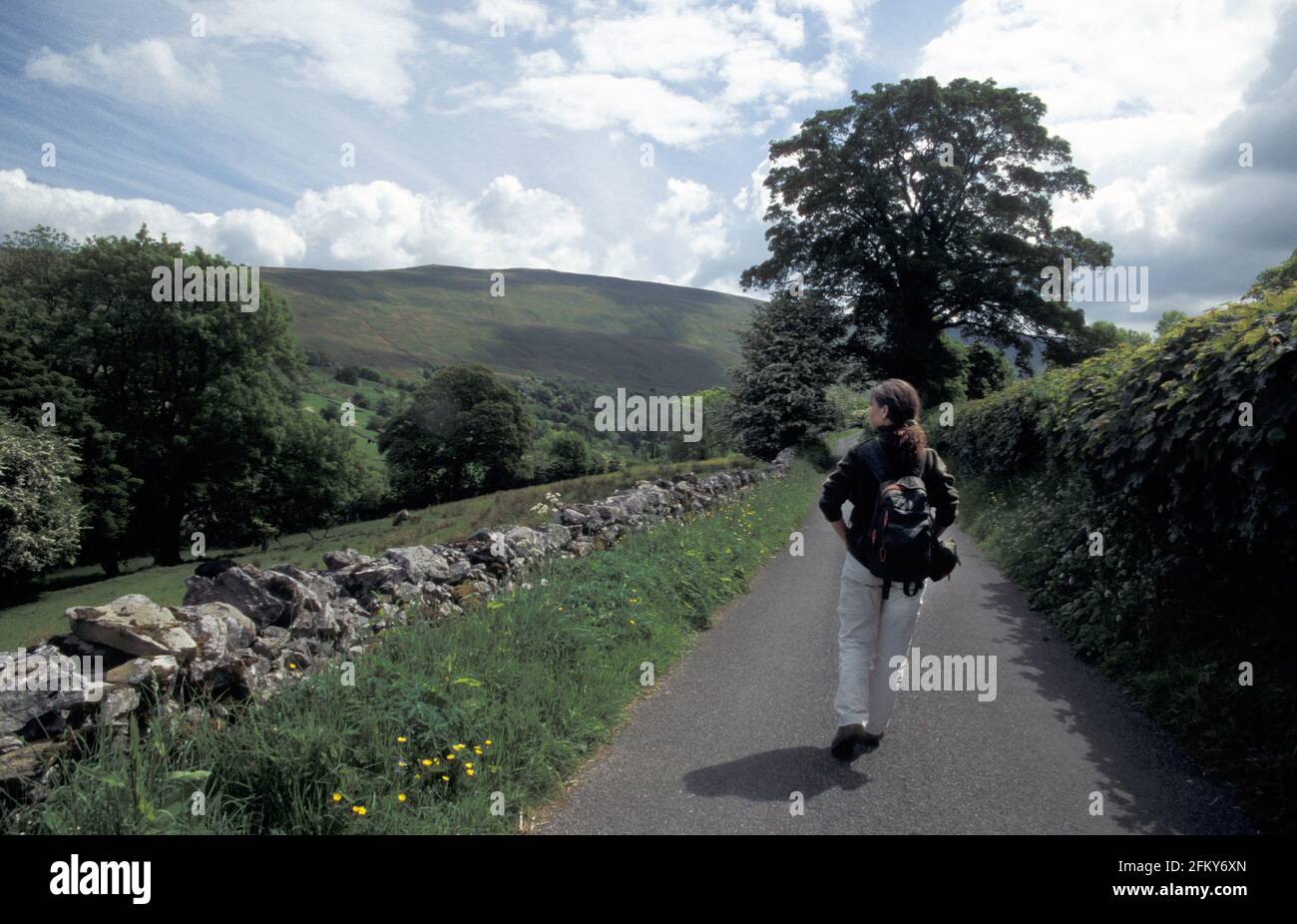 walker on lane leading out of Dent village, Dentdale, Yorkshire Dales ...