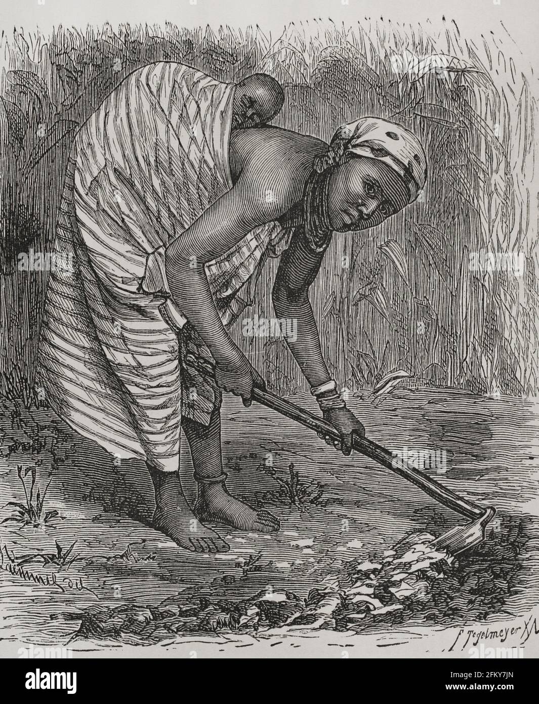 19th century woman engraving hi-res stock photography and images - Alamy