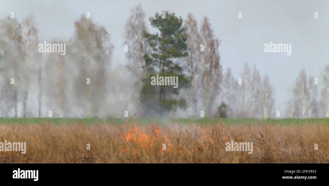 Fire. Conflagration. The fire that destroys forest, grass, and ...