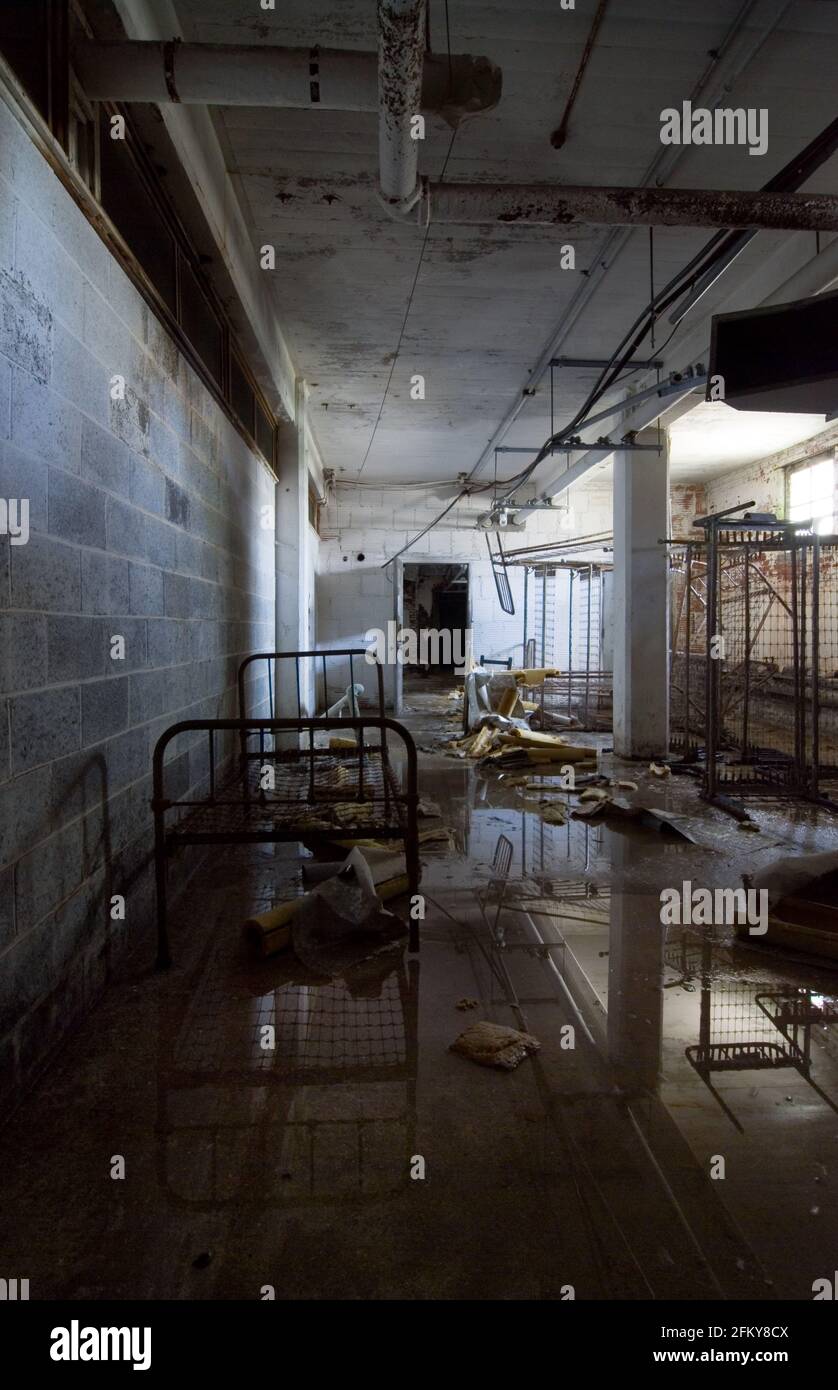 Interior of an abandoned decaying insane asylum Stock Photo - Alamy