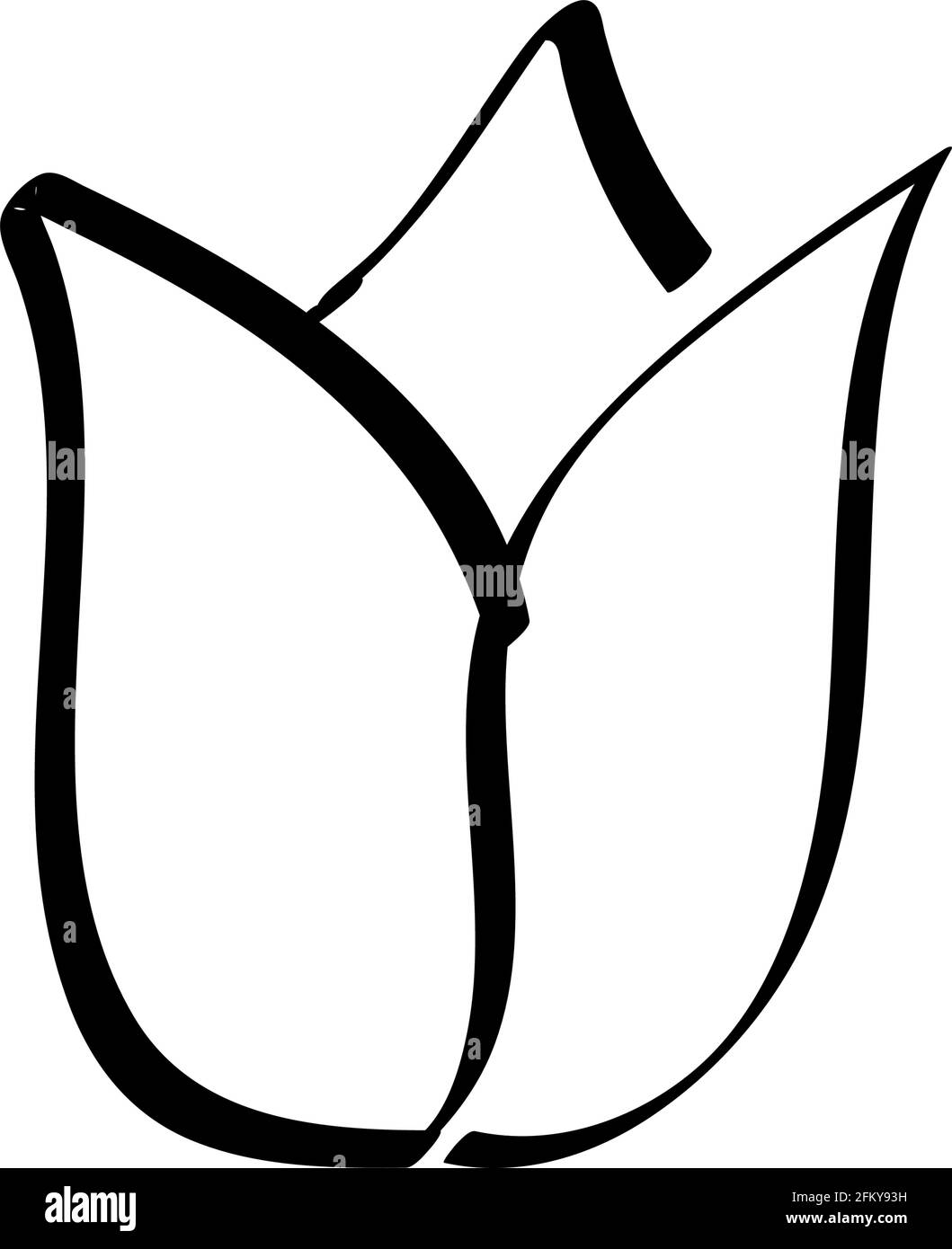 flower hand drawn scribble.floral plant element doddles style. Lateen ...