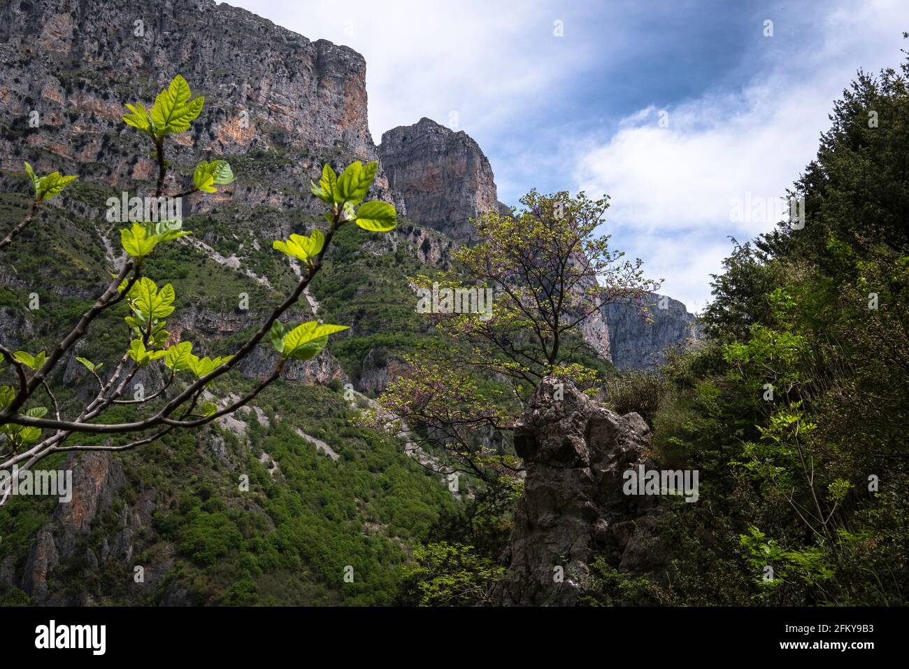 Vikos Gorge is a gorge in the Pindus Mountains of northern Greece ...