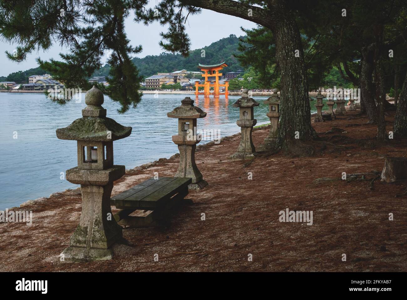 Park with bench under evergreen trees with view to the the floating ...
