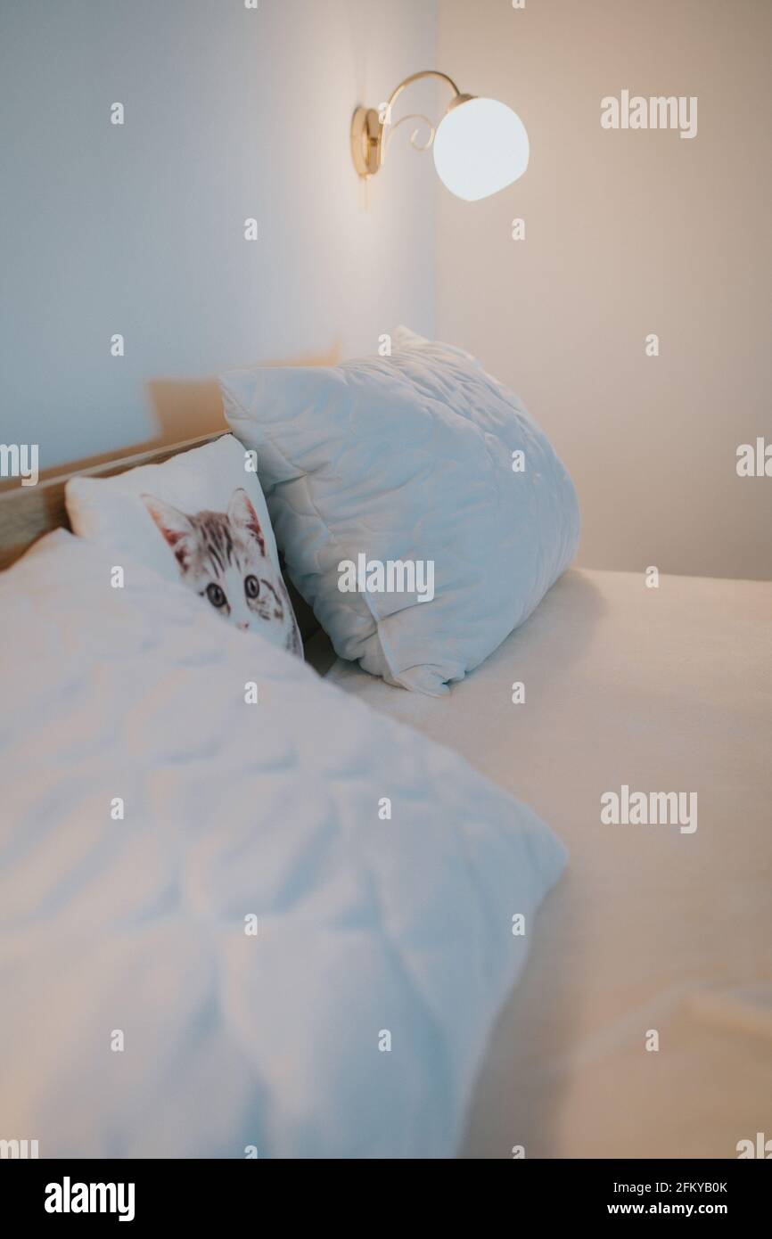 Vertical shot of a white pillow with a cat between two white pillows on ...
