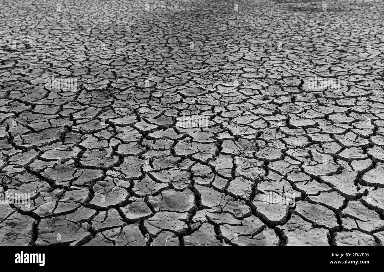 Mudflat cracked desert barren surface for natural background, layer, wallpaper, photo effect ...