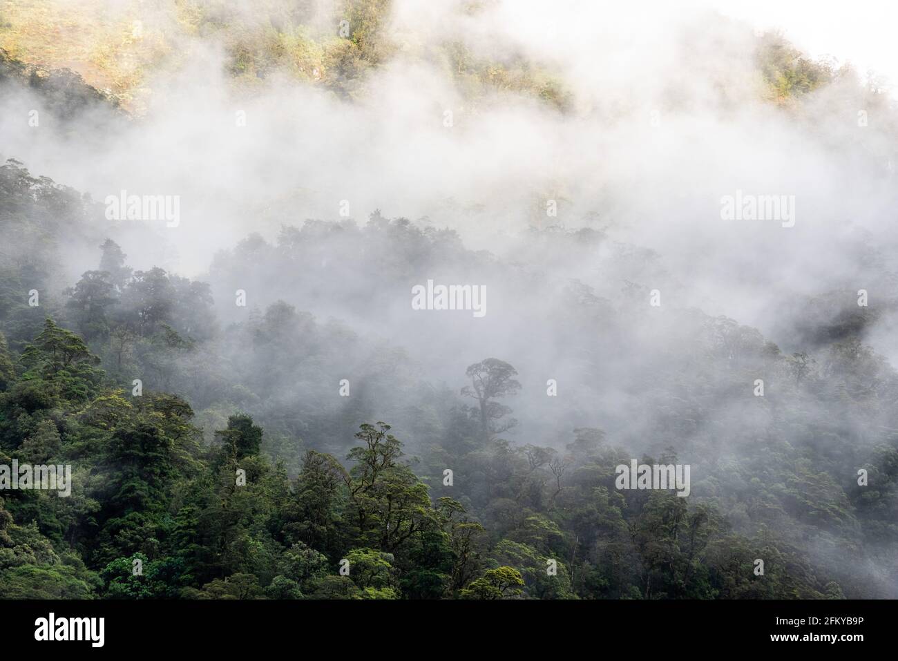 A new morning dawning at Doutful Sound, clouds hanging low in the ...