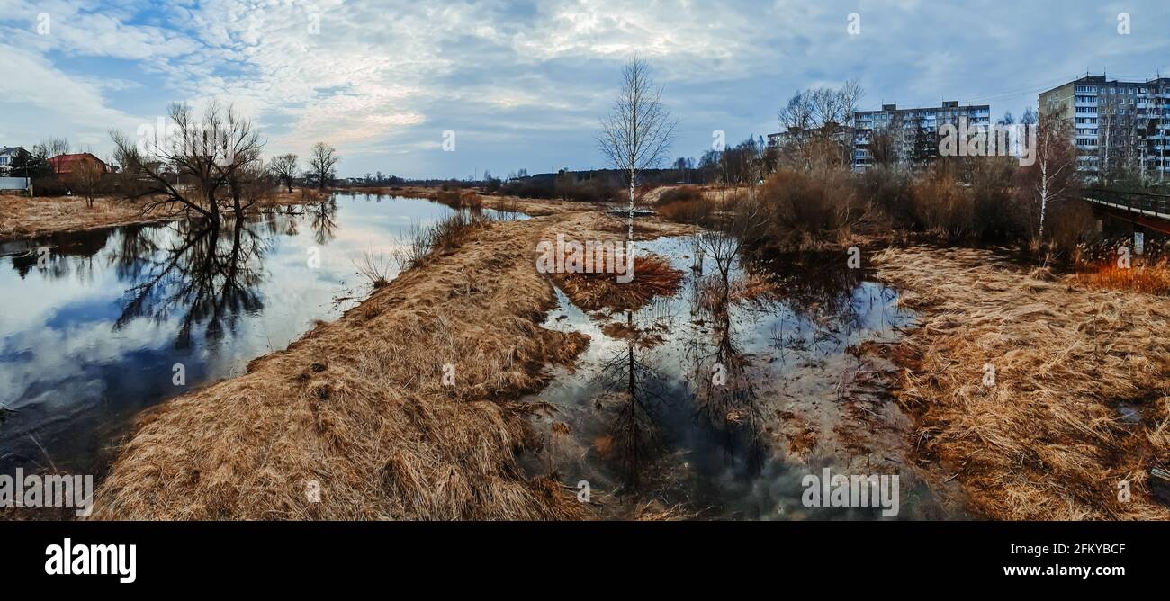 Northern swamps in early spring. Eco hiking. Ecological tourism. The ...