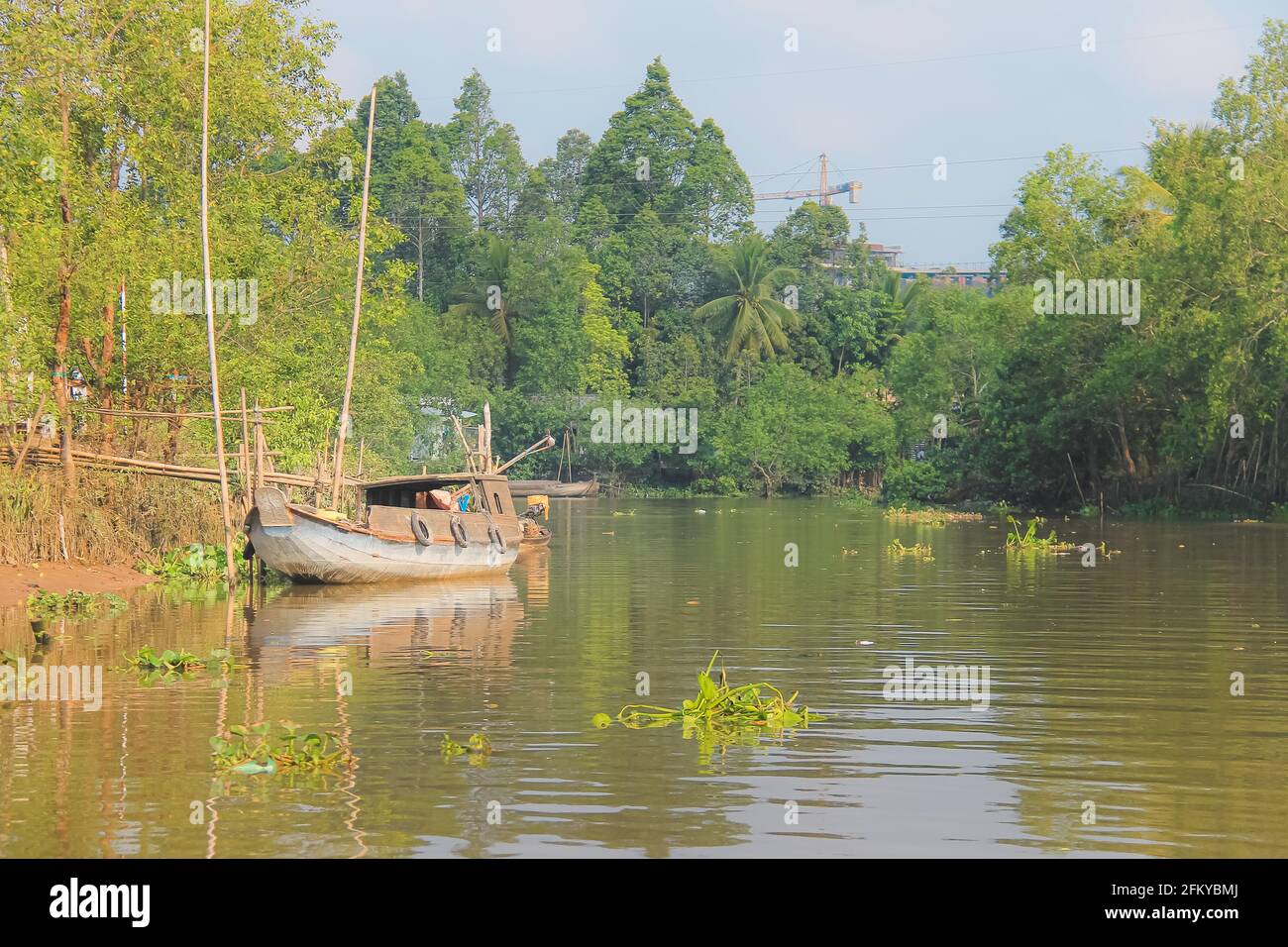 Traditional Vietnamese sampan boat and floating common water hyacinth ...