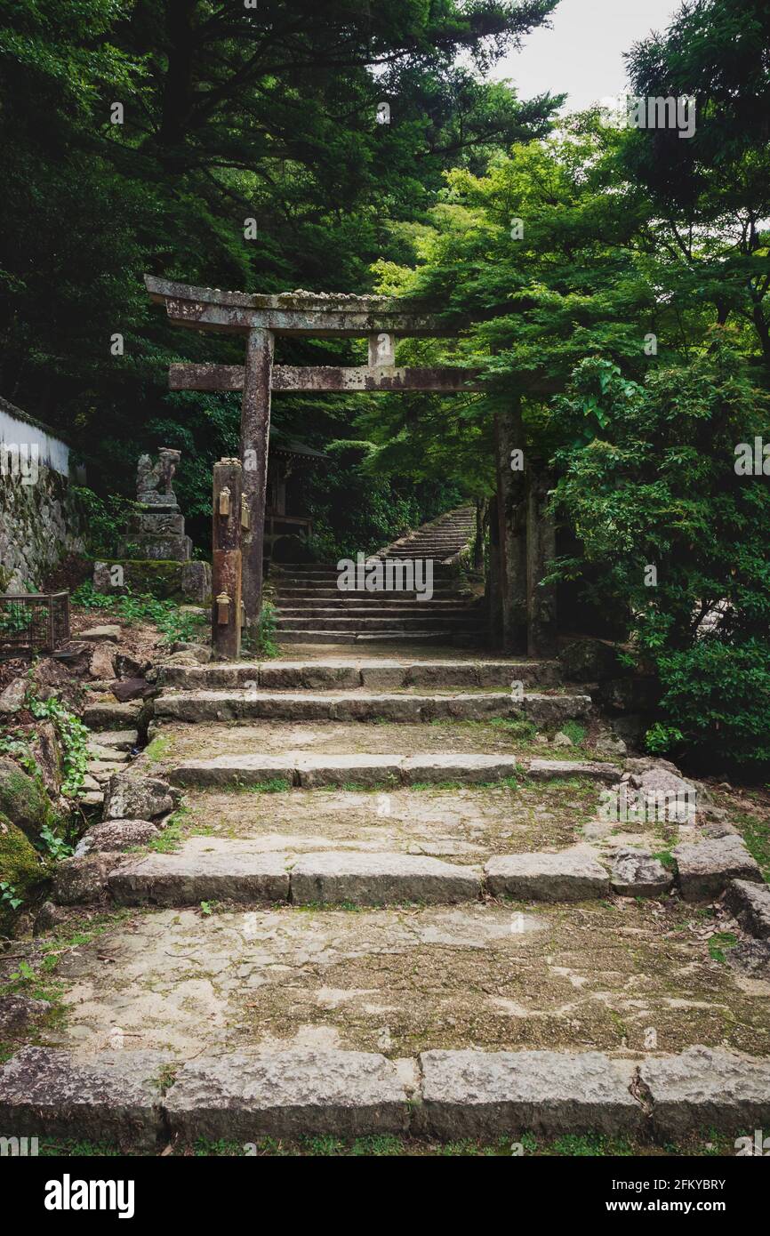 Stone torri gate over a stairs path in forest park on Mount Misen in ...
