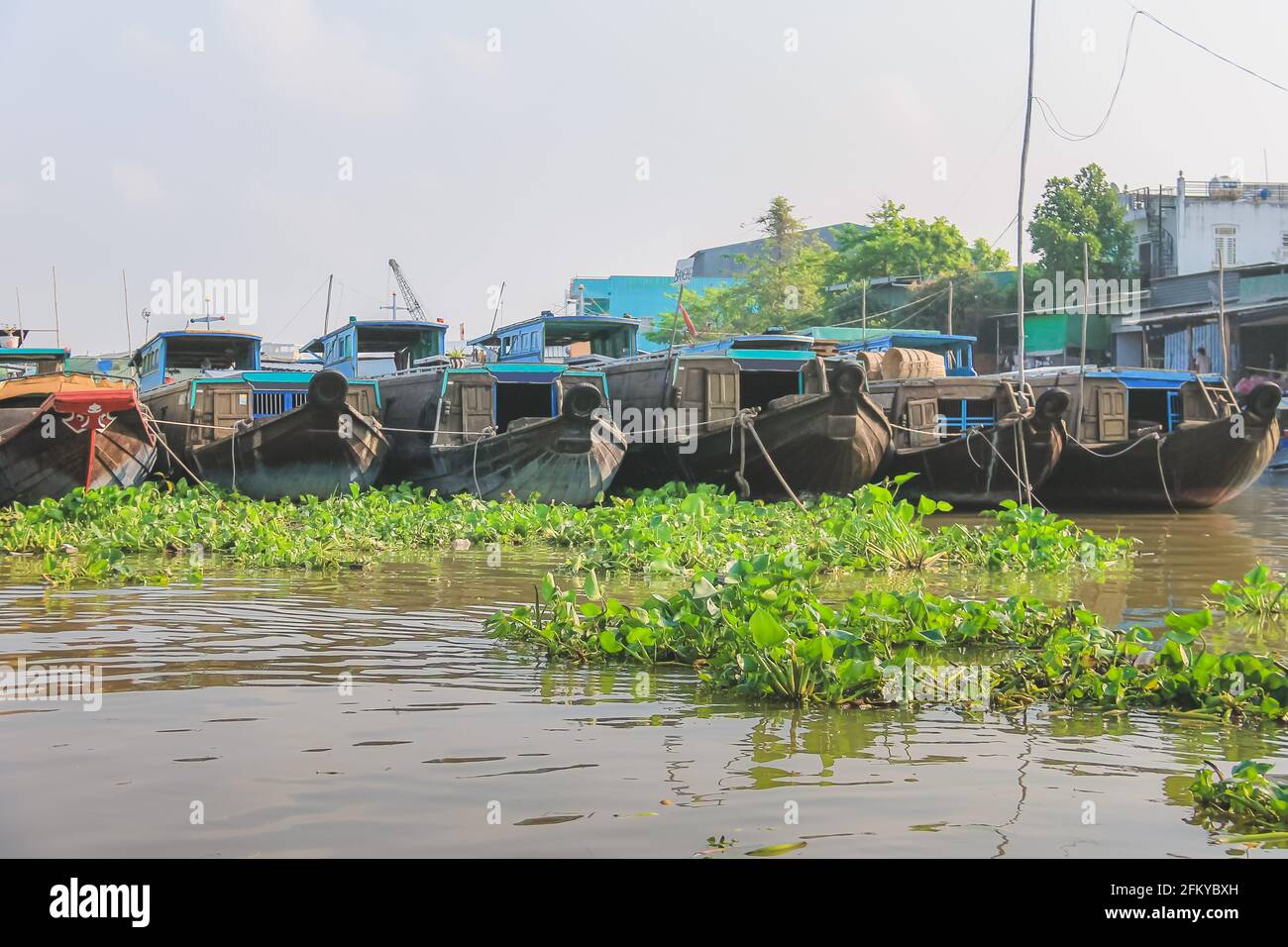 Traditional Vietnamese sampan boats and floating common water hyacinth ...