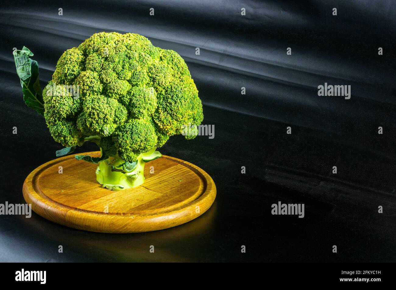 Fantasy mini landscape - tree made with broccoli on a black background ...