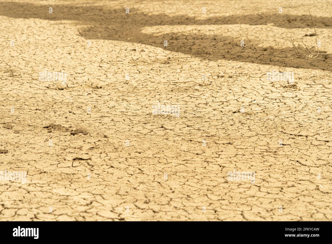 Mudflat cracked desert barren surface for natural background, layer, wallpaper, photo effect ...