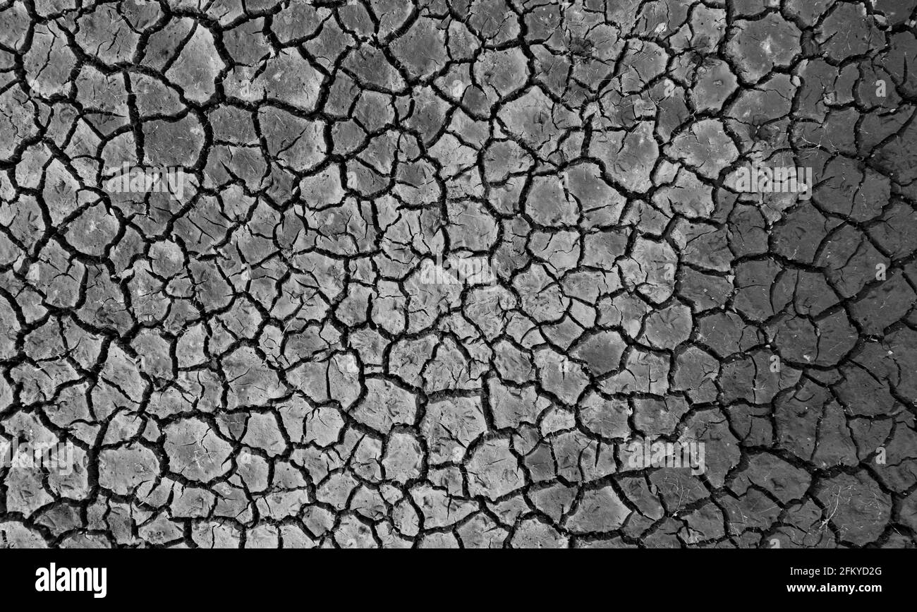 Mudflat cracked desert barren surface for natural background, layer, wallpaper, photo effect ...