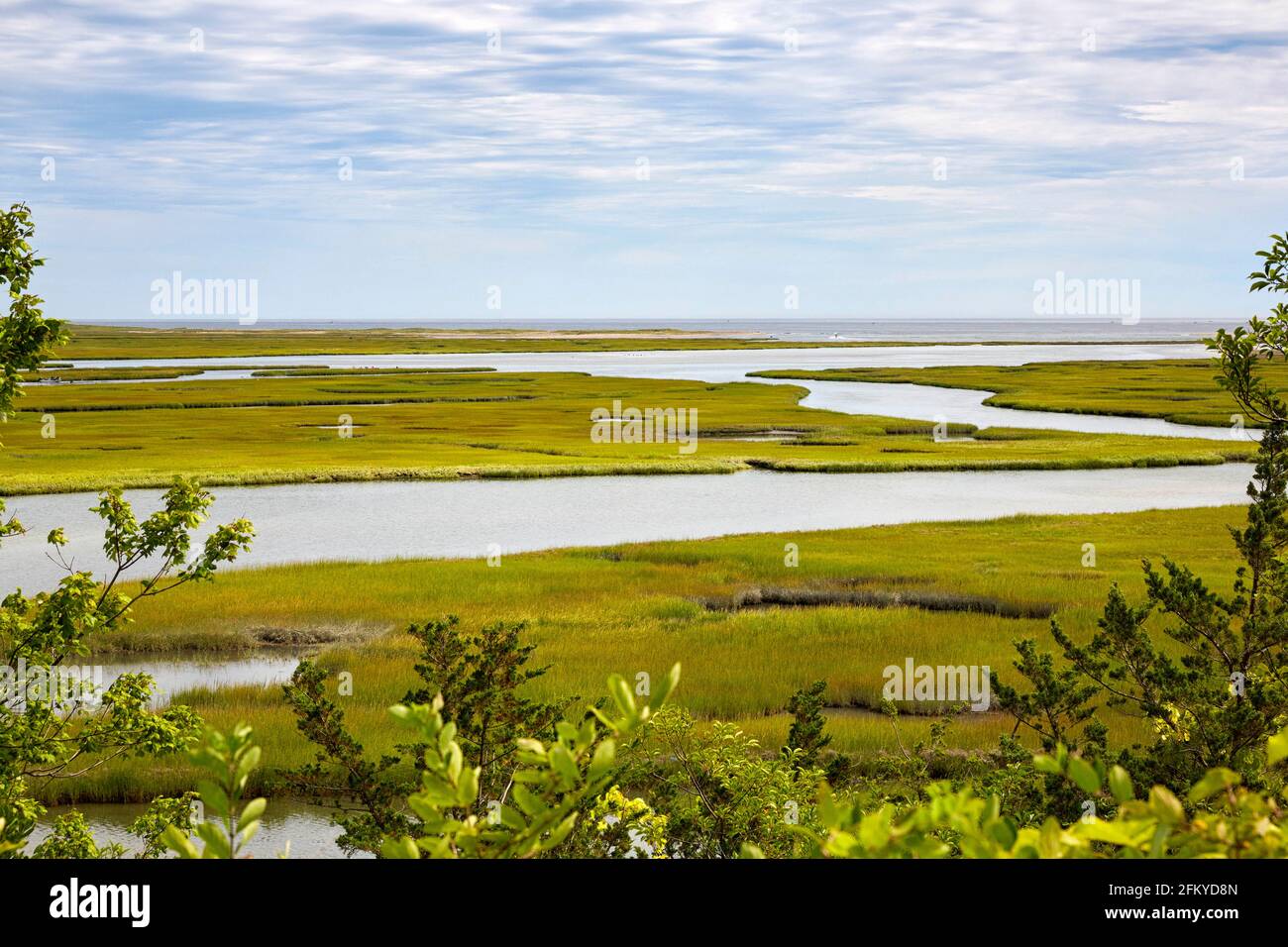 Nauset marsh hi-res stock photography and images - Alamy