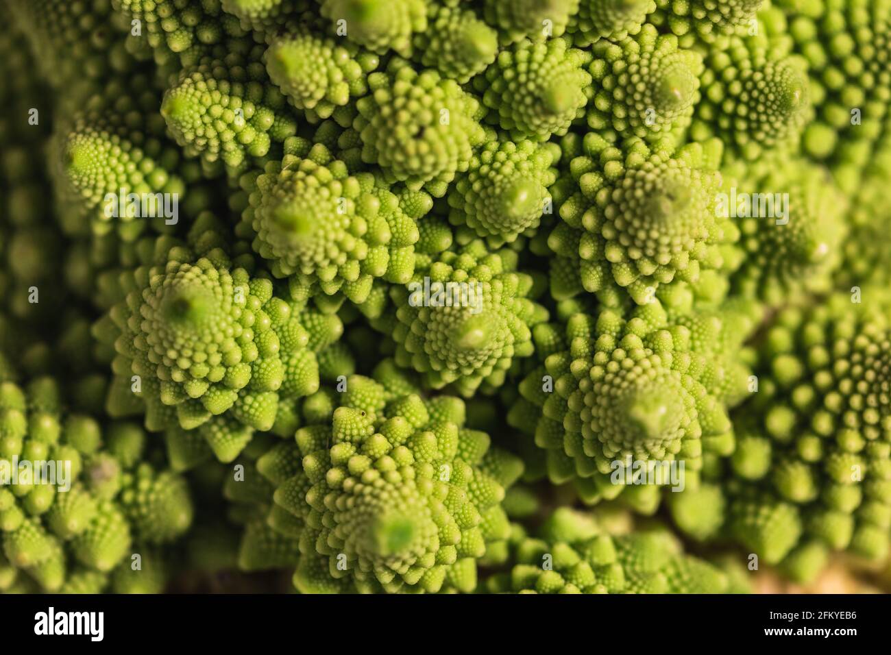 Detail of vegetable romanesco broccoli texture pattern. Healthy food ...