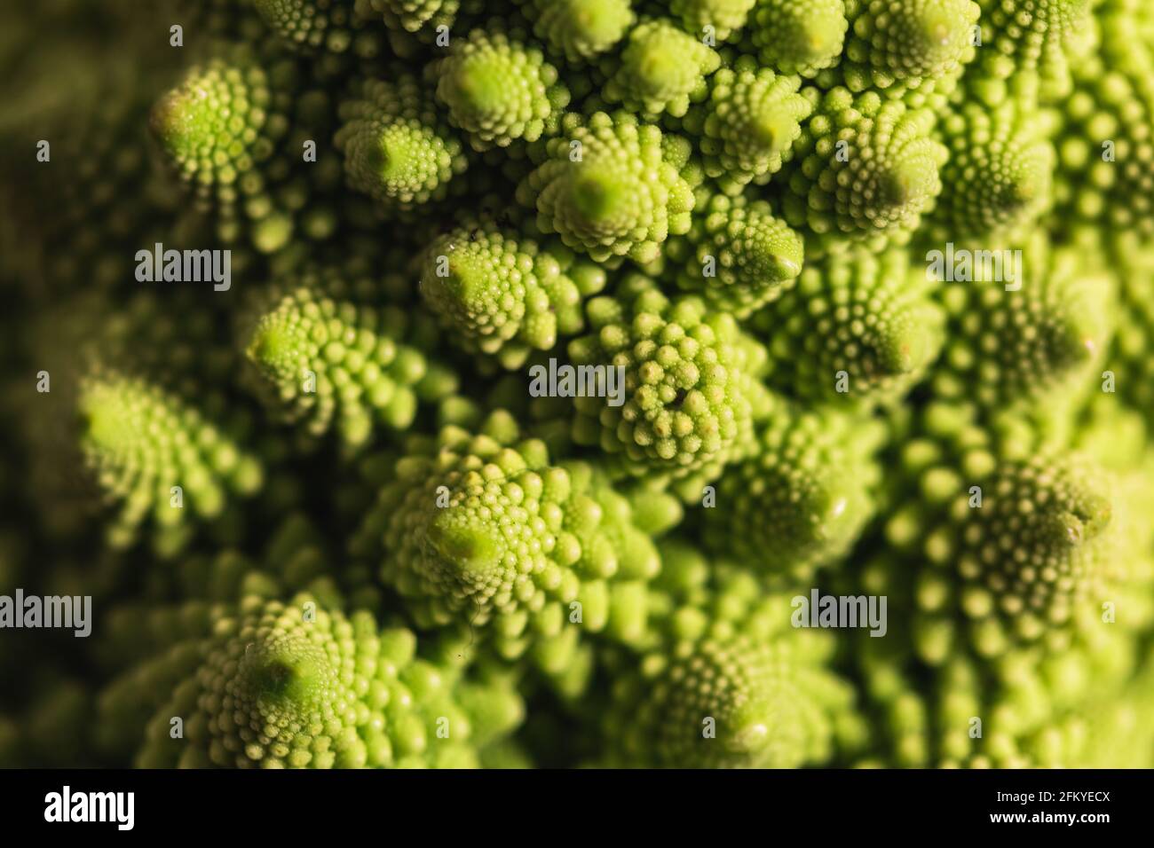 Detail of vegetable romanesco broccoli texture pattern. Healthy food ...