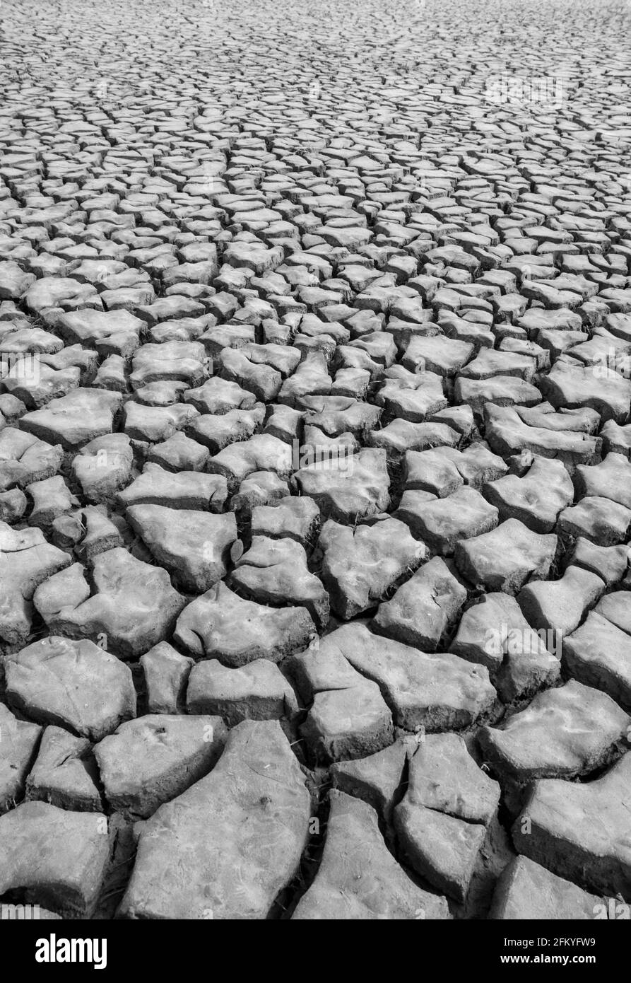 Pampa landscape argentina Black and White Stock Photos & Images - Alamy