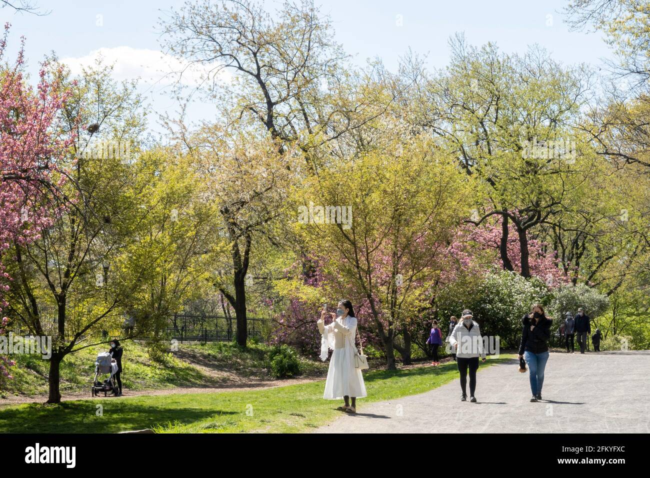 Springtime in Central Park is beautiful, New York City, USA Stock Photo ...
