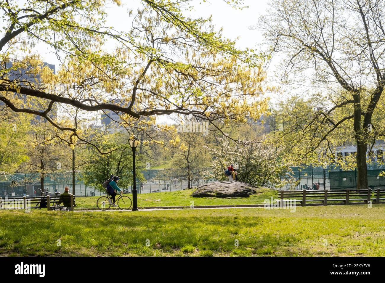 Springtime in Central Park is beautiful, New York City, USA Stock Photo ...