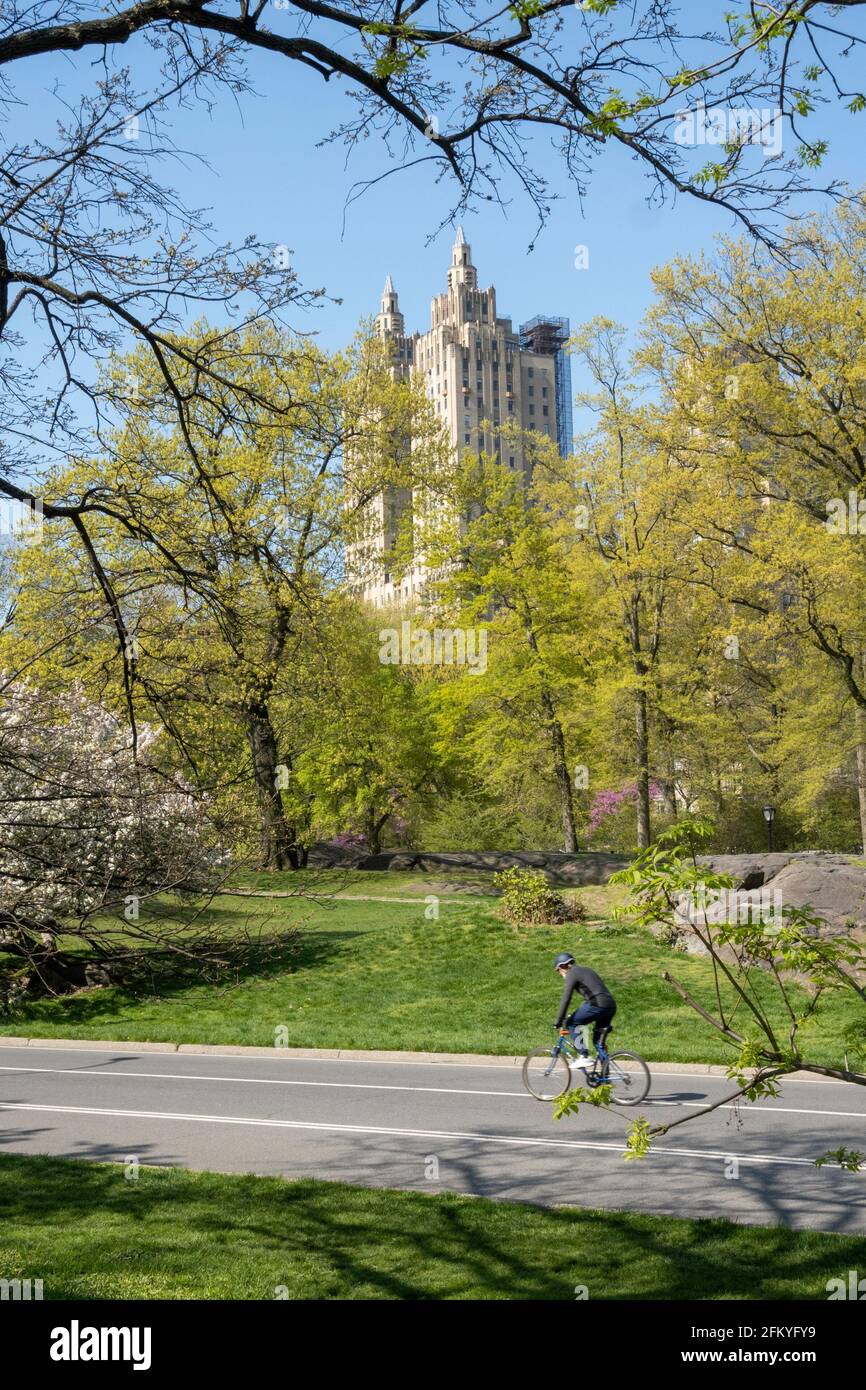 Springtime in Central Park is beautiful, New York City, USA Stock Photo ...