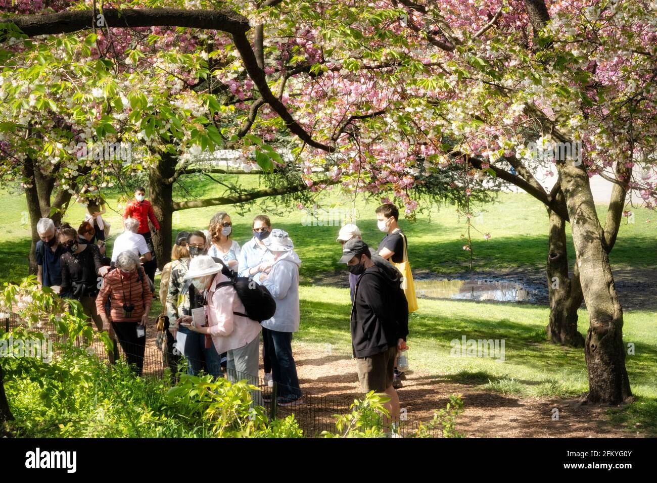 Springtime in Central Park is beautiful, New York City, USA Stock Photo ...