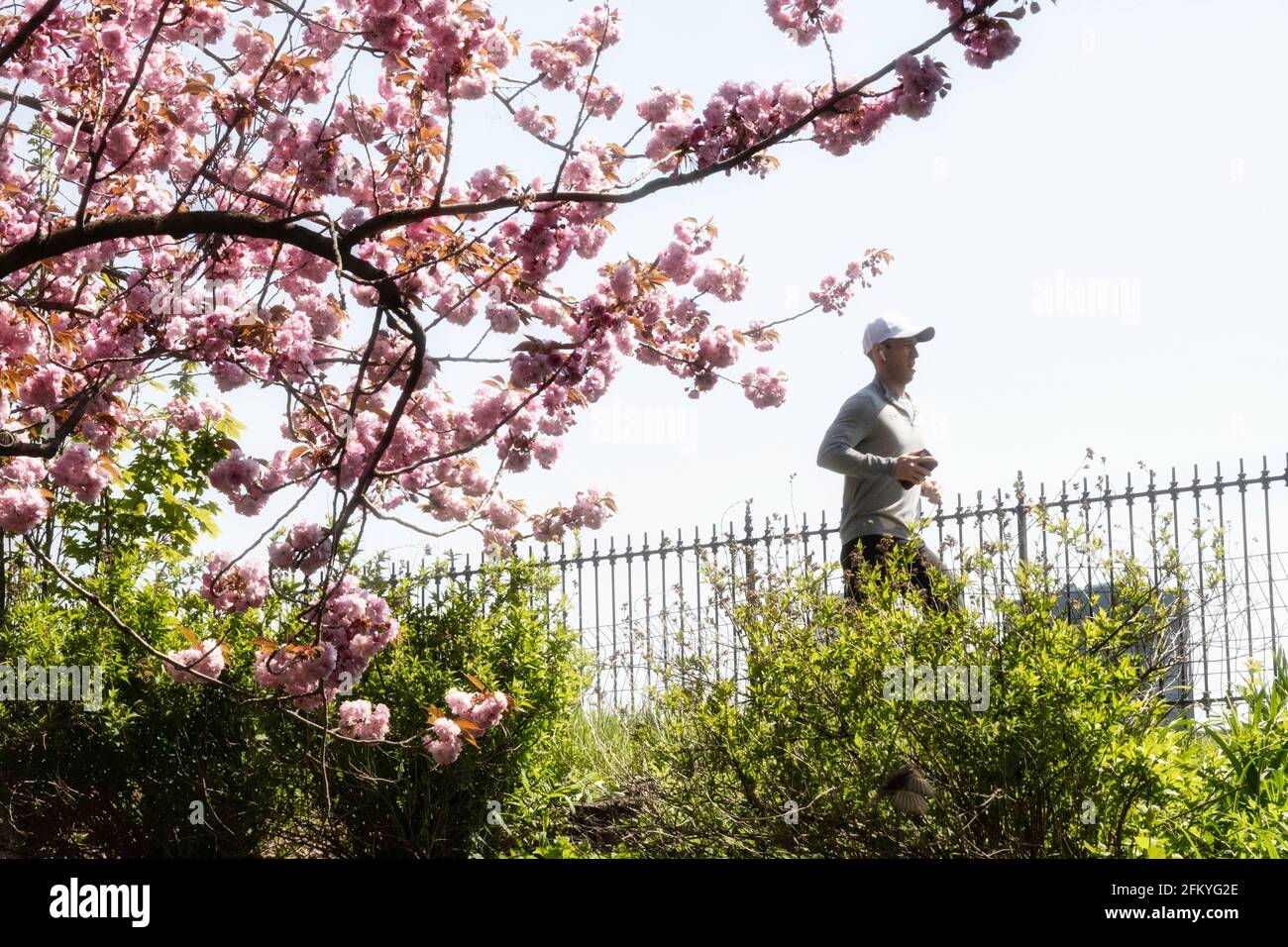 The Stephanie and Fred Shuman Running Track in Central Park is popular ...