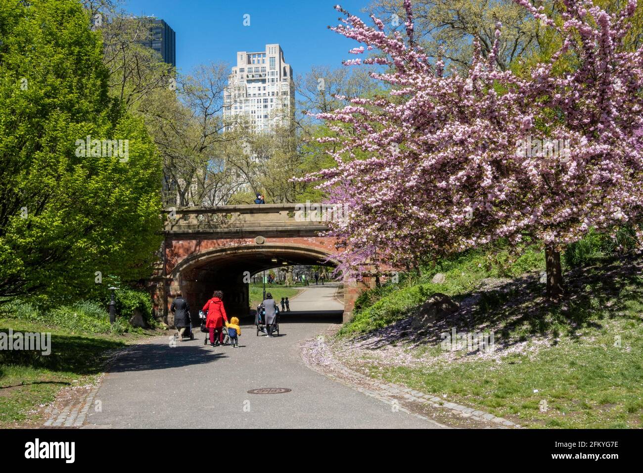 Driprock Arch and Underpass in Central Park is beautiful in springtime ...