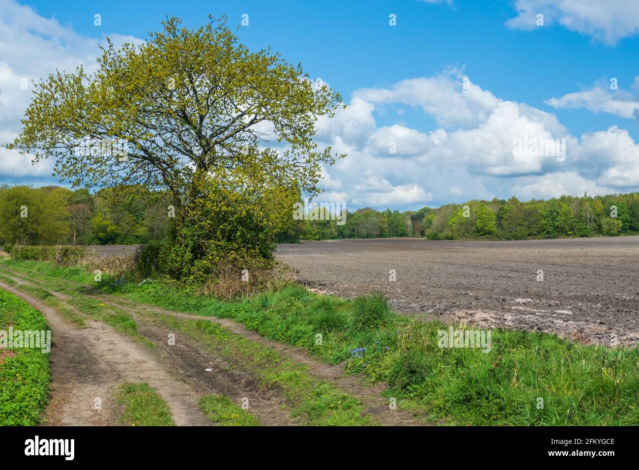 Quarry bank mill spring hi-res stock photography and images - Alamy