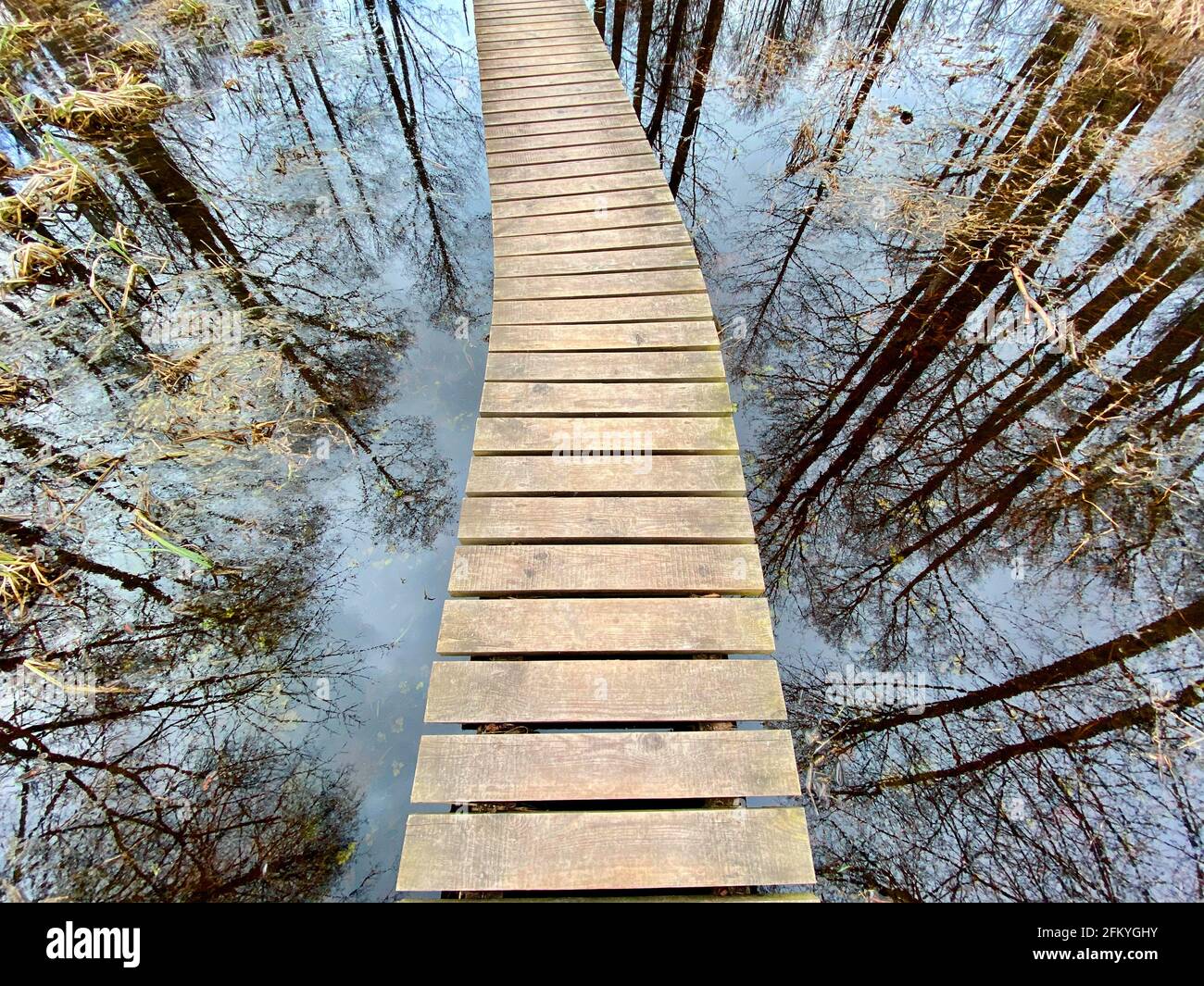 a wooden footpath through the lake's nature trails and tree reflections ...